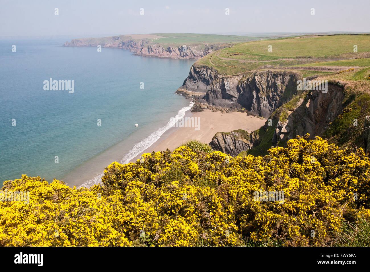 Musselwick hi-res stock photography and images - Alamy