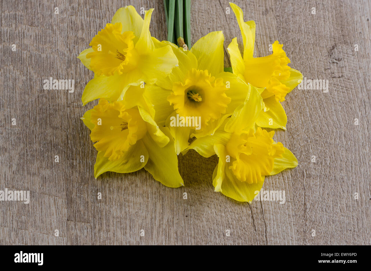 Yellow jonquil flowers on wooden background Stock Photo - Alamy