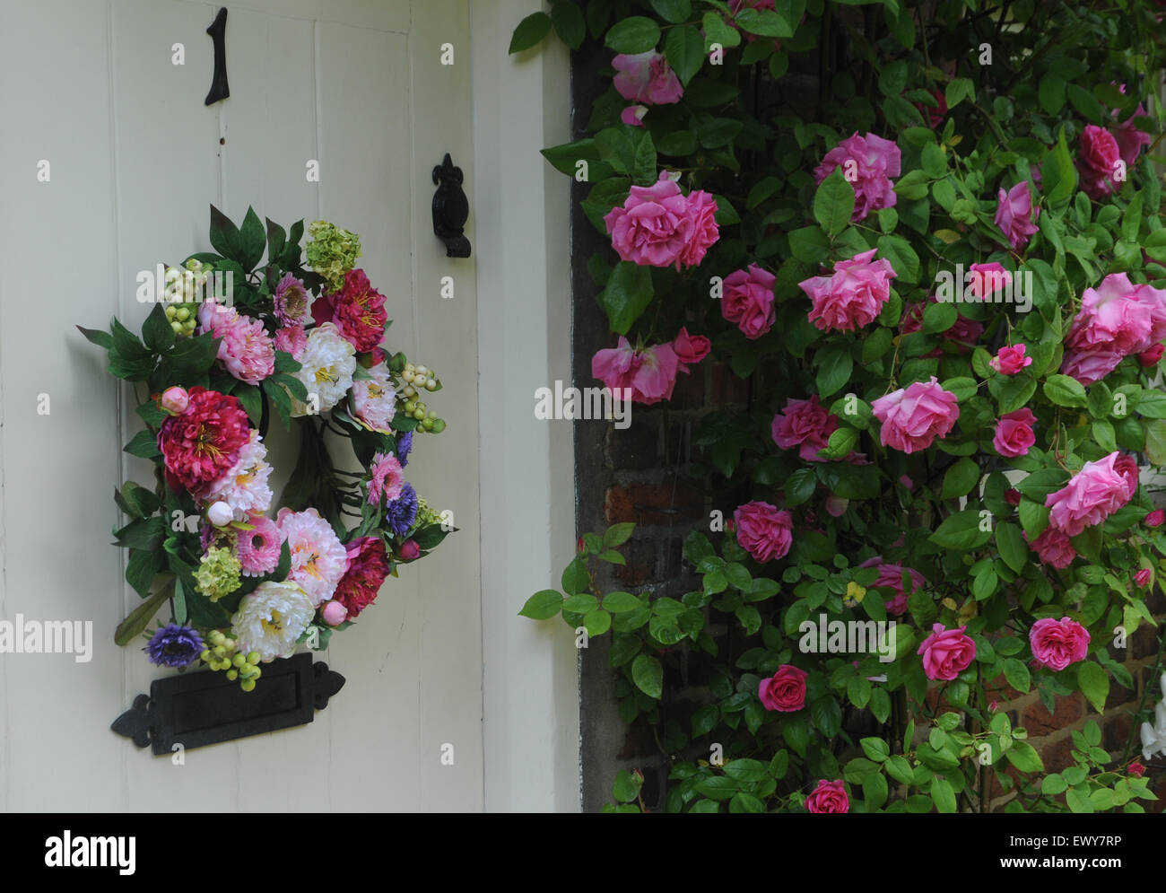 Roses on an English Cottage at Chawton, Hampshire where Jane Austen ...