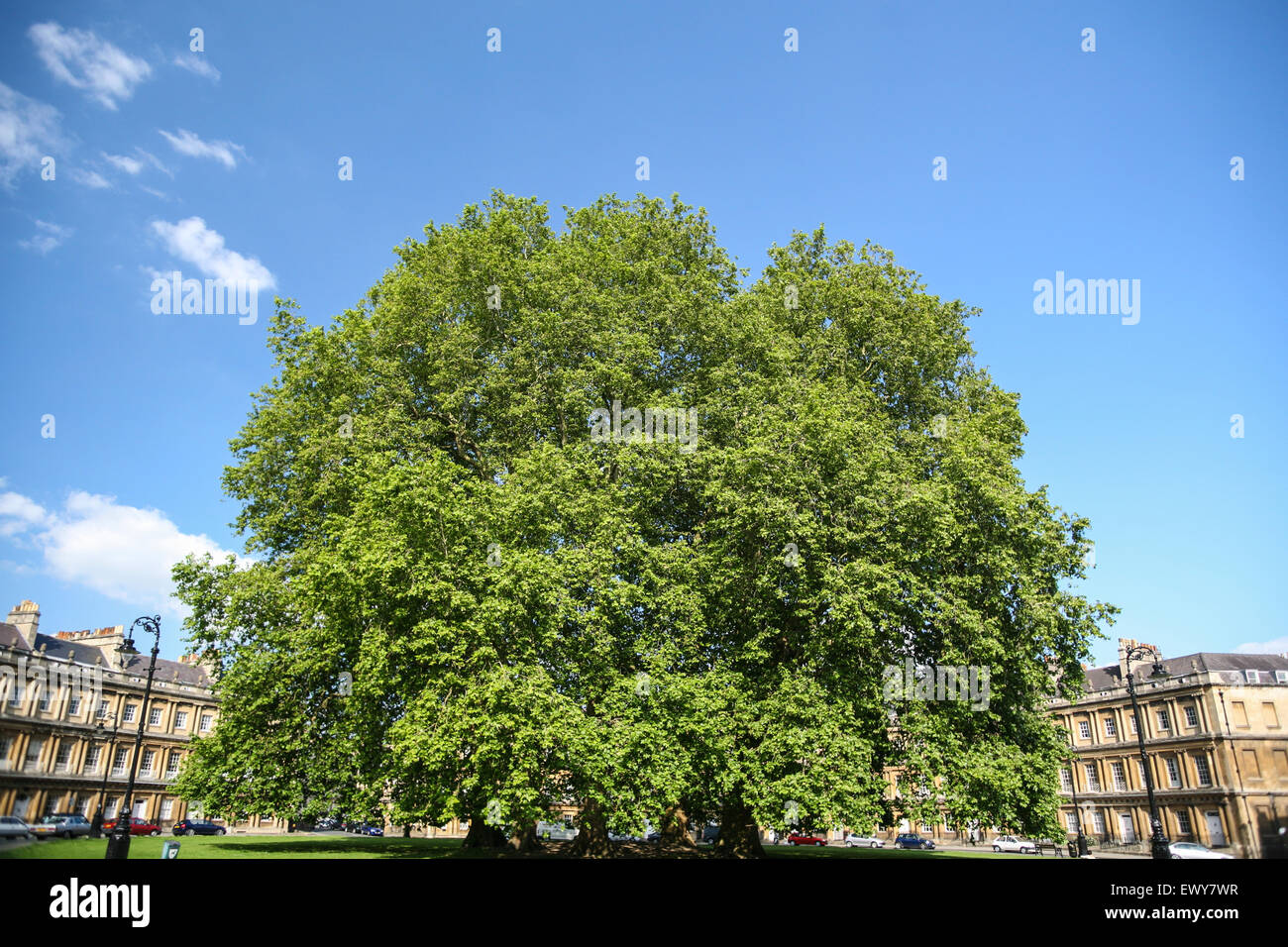 Famous example of georgian architecture in the city of bath hi-res ...
