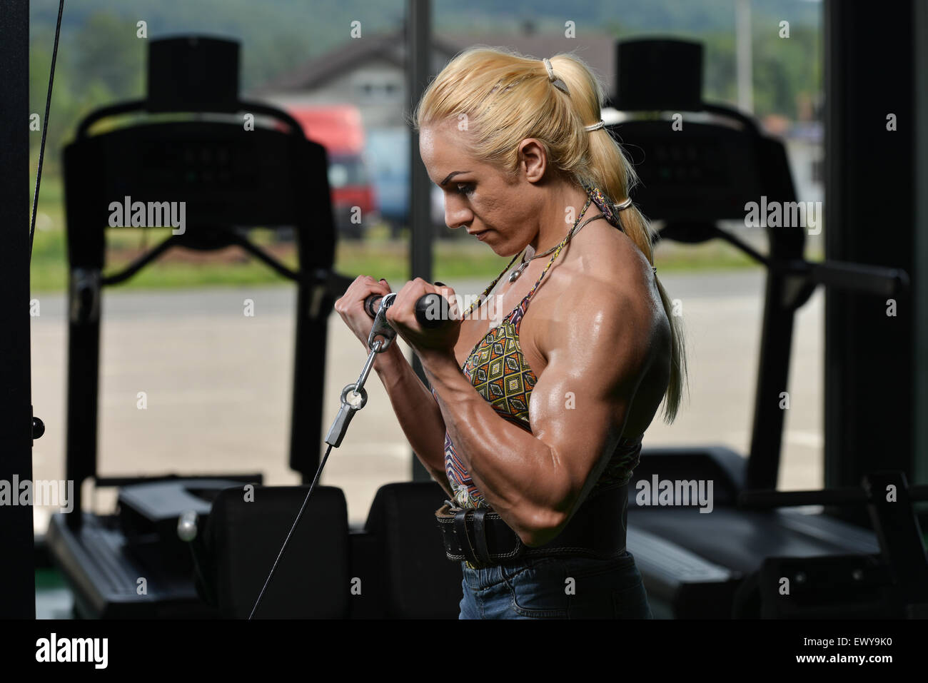 Female Bodybuilder Doing Heavy Weight Exercise For Biceps Stock Photo ...