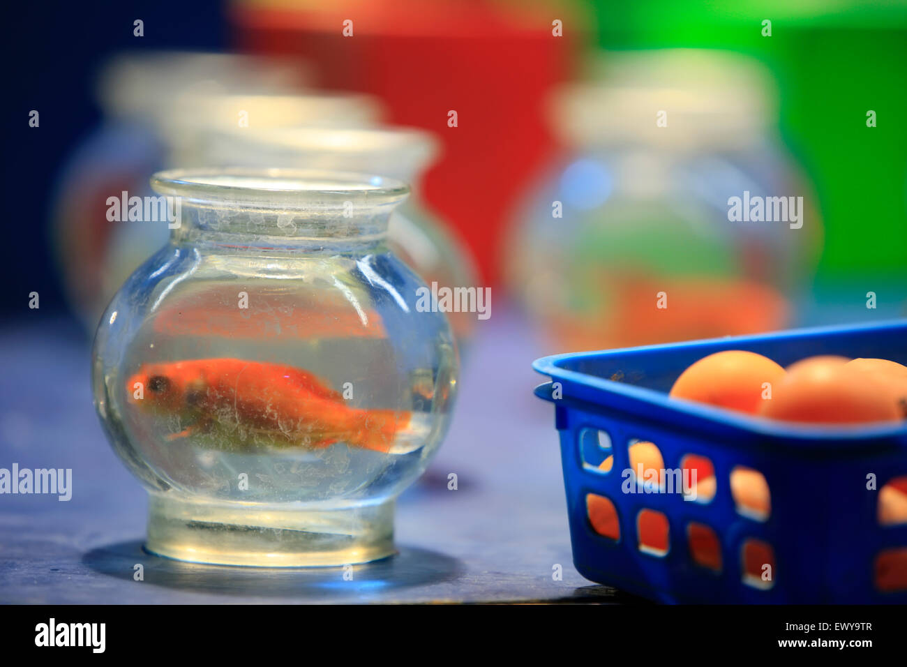 Goldfish flipping swimming in a dirty glass jar next to softballs ...