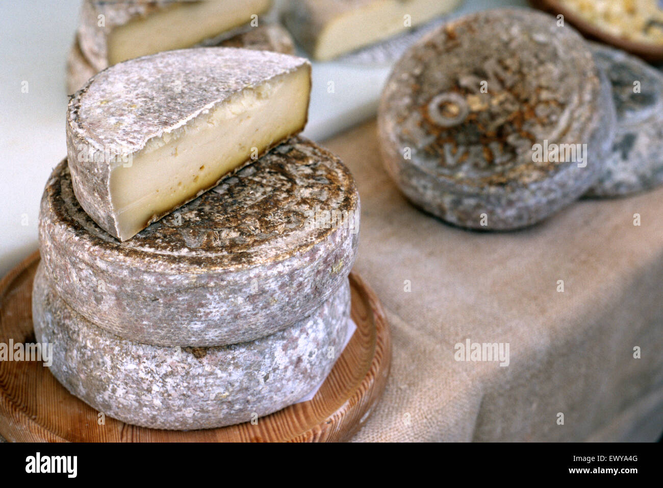 Italy, Piedmont, Val Sesia, Varallo Sesia, Traditional Toma Cheese ...