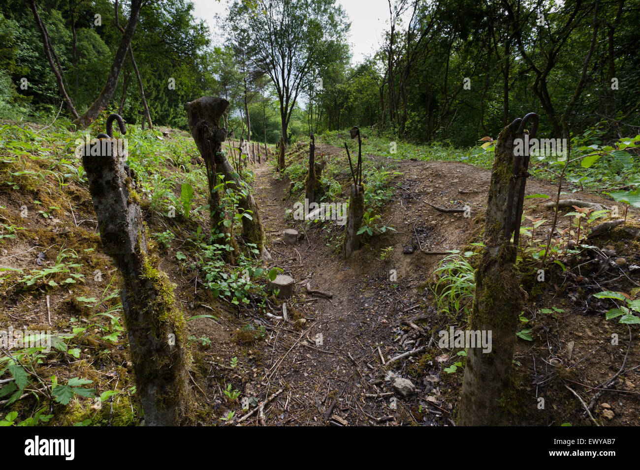 Original trench systems near the First World War French fort of ...