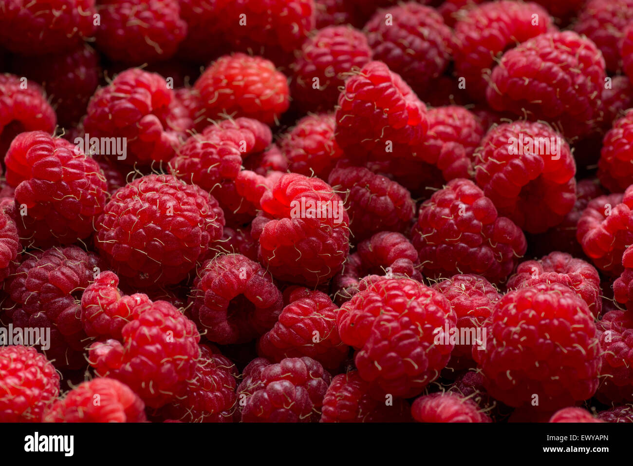 Raspberry fruit background Stock Photo - Alamy