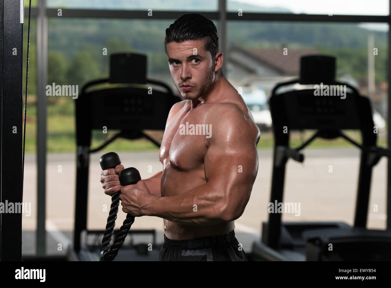 Male Bodybuilder Doing Heavy Weight Exercise For Biceps Stock Photo - Alamy