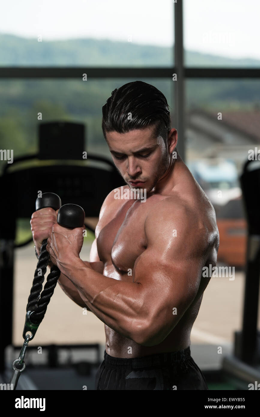 Male Bodybuilder Doing Heavy Weight Exercise For Biceps Stock Photo - Alamy