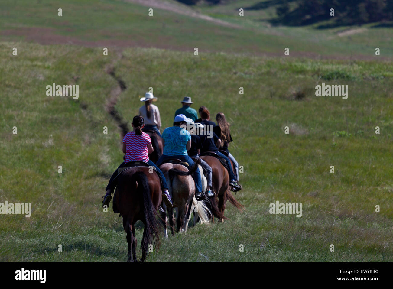 Group of horseback riders on a trail Stock Photo - Alamy