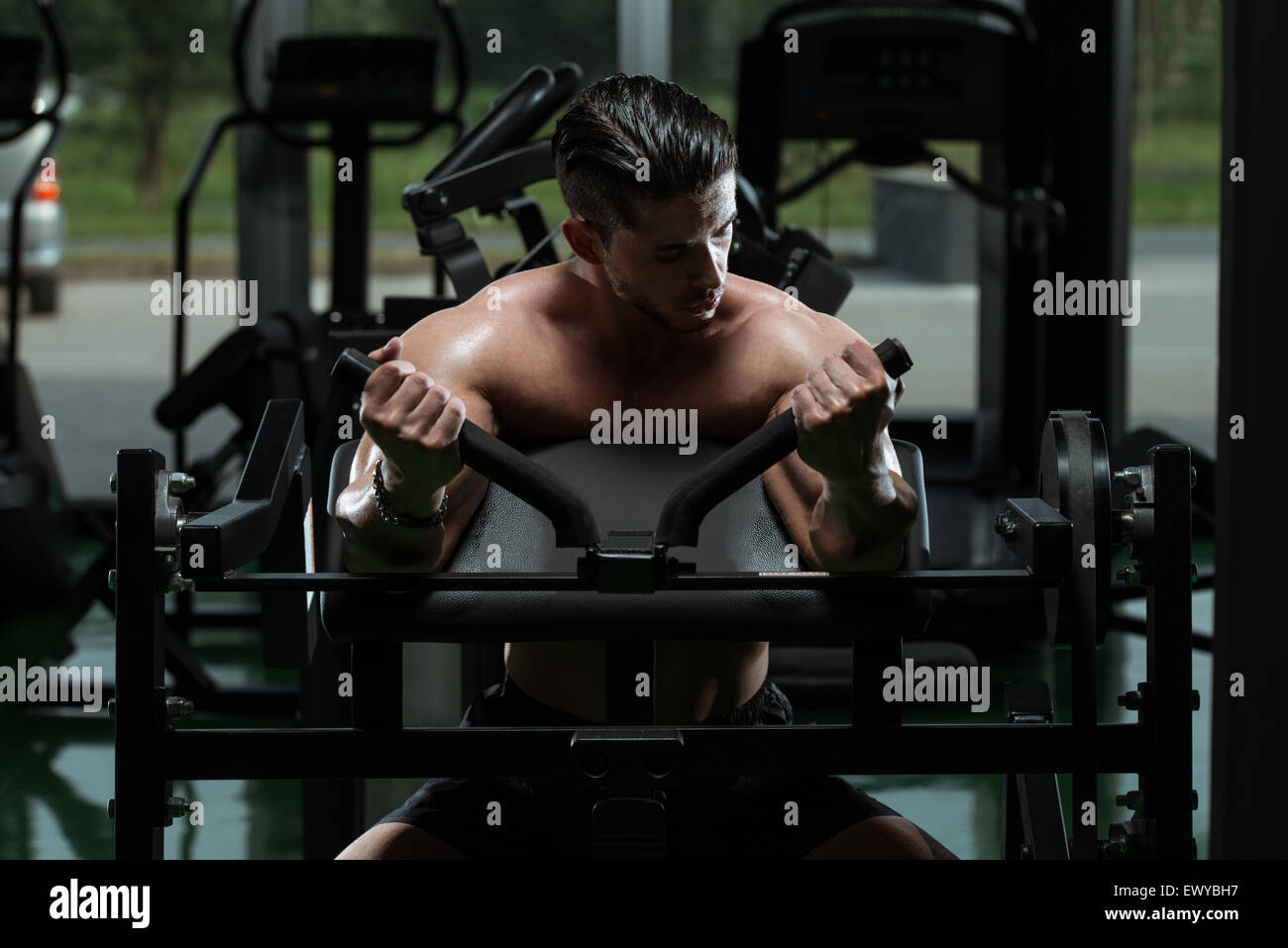 Male Bodybuilder Doing Heavy Weight Exercise For Biceps Stock Photo - Alamy