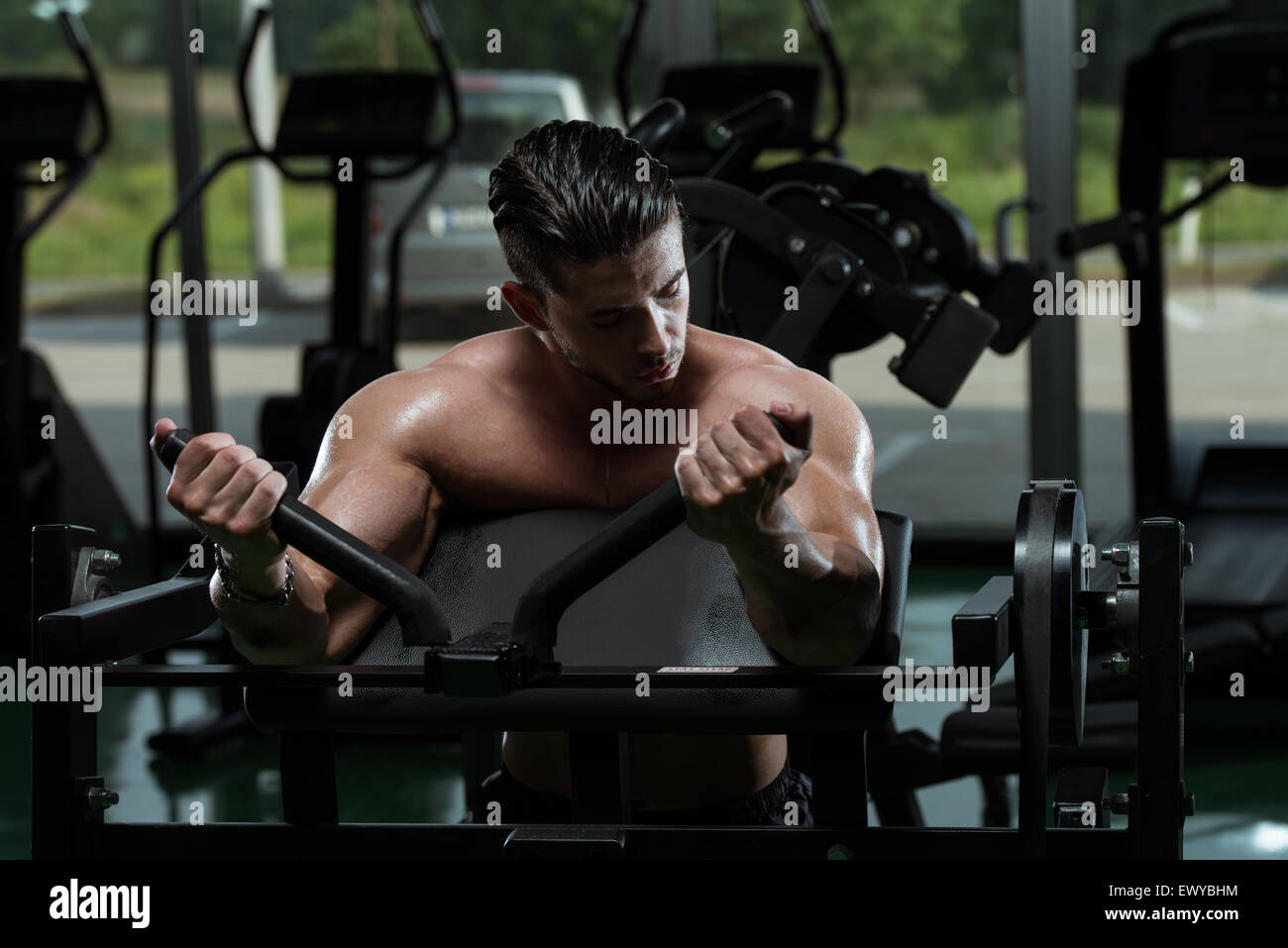 Male Bodybuilder Doing Heavy Weight Exercise For Biceps Stock Photo - Alamy