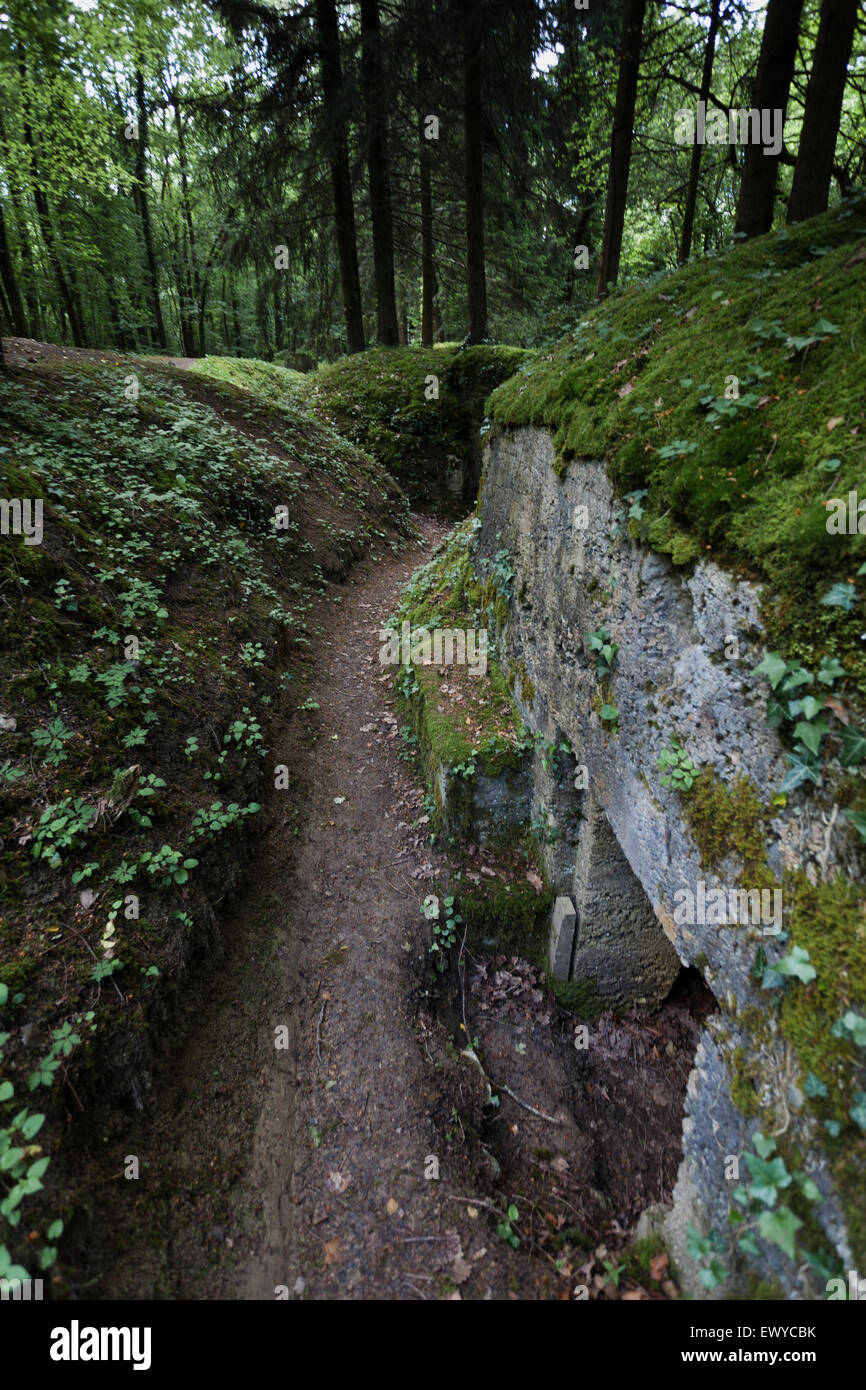 Saint mihiel salient first hi-res stock photography and images - Alamy