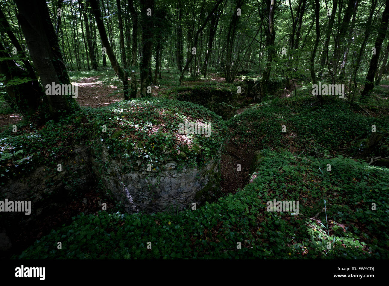 Saint mihiel salient first hi-res stock photography and images - Alamy