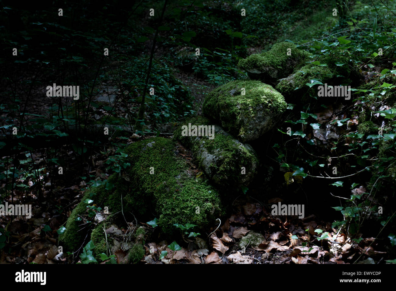 Saint mihiel salient first hi-res stock photography and images - Alamy