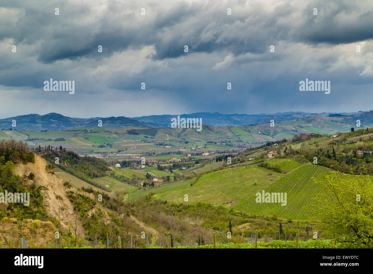 The vibrant colors of Agricultural cultivated fields in Italy during ...