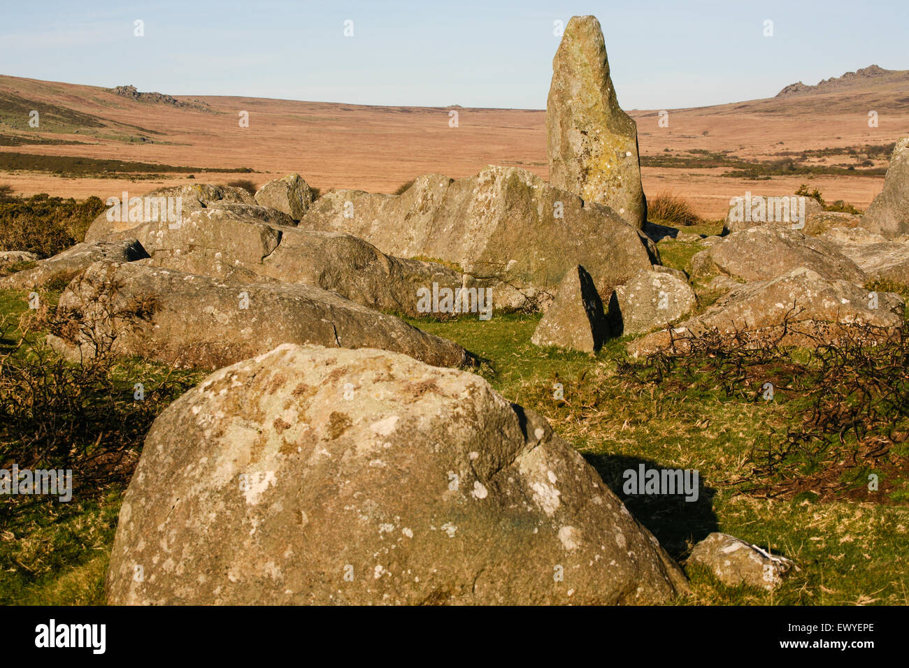 Preseli bluestone hi-res stock photography and images - Alamy