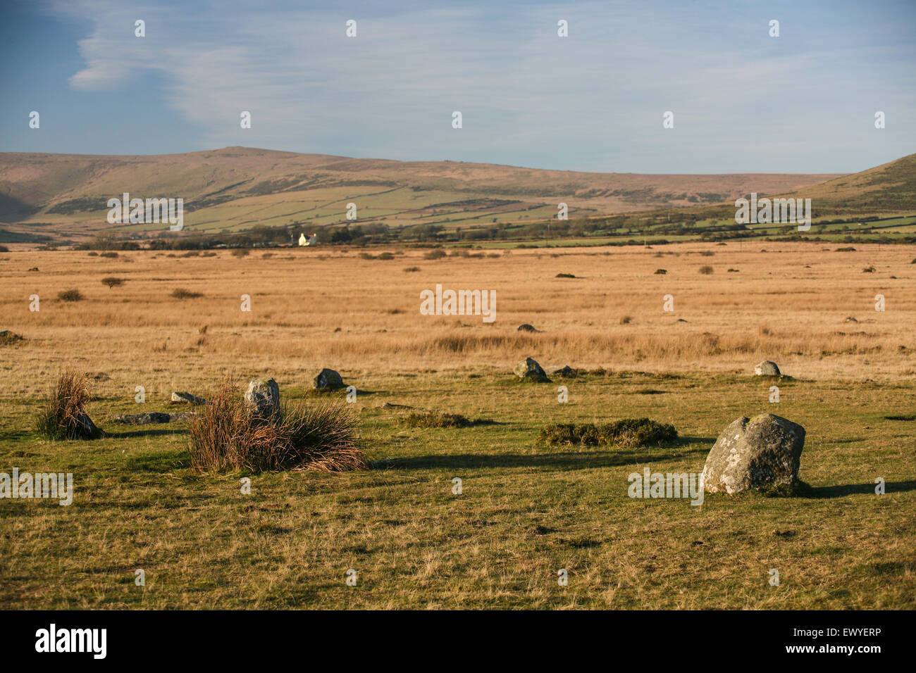 16 Blue stones form an egg-shaped ring at Gors Fawr Stone Circle in a ...