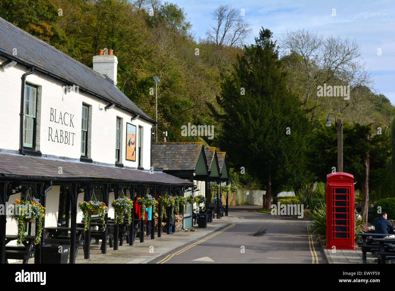 Arundel black rabbit hi-res stock photography and images - Alamy