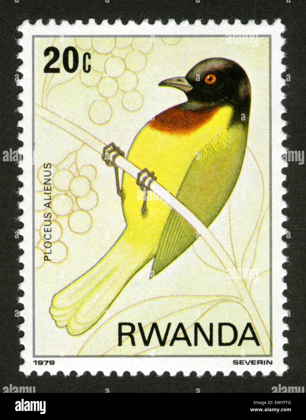 Strange Weaver (Ploceus alienus), stamp, Rwanda,postage stamp,birds ...