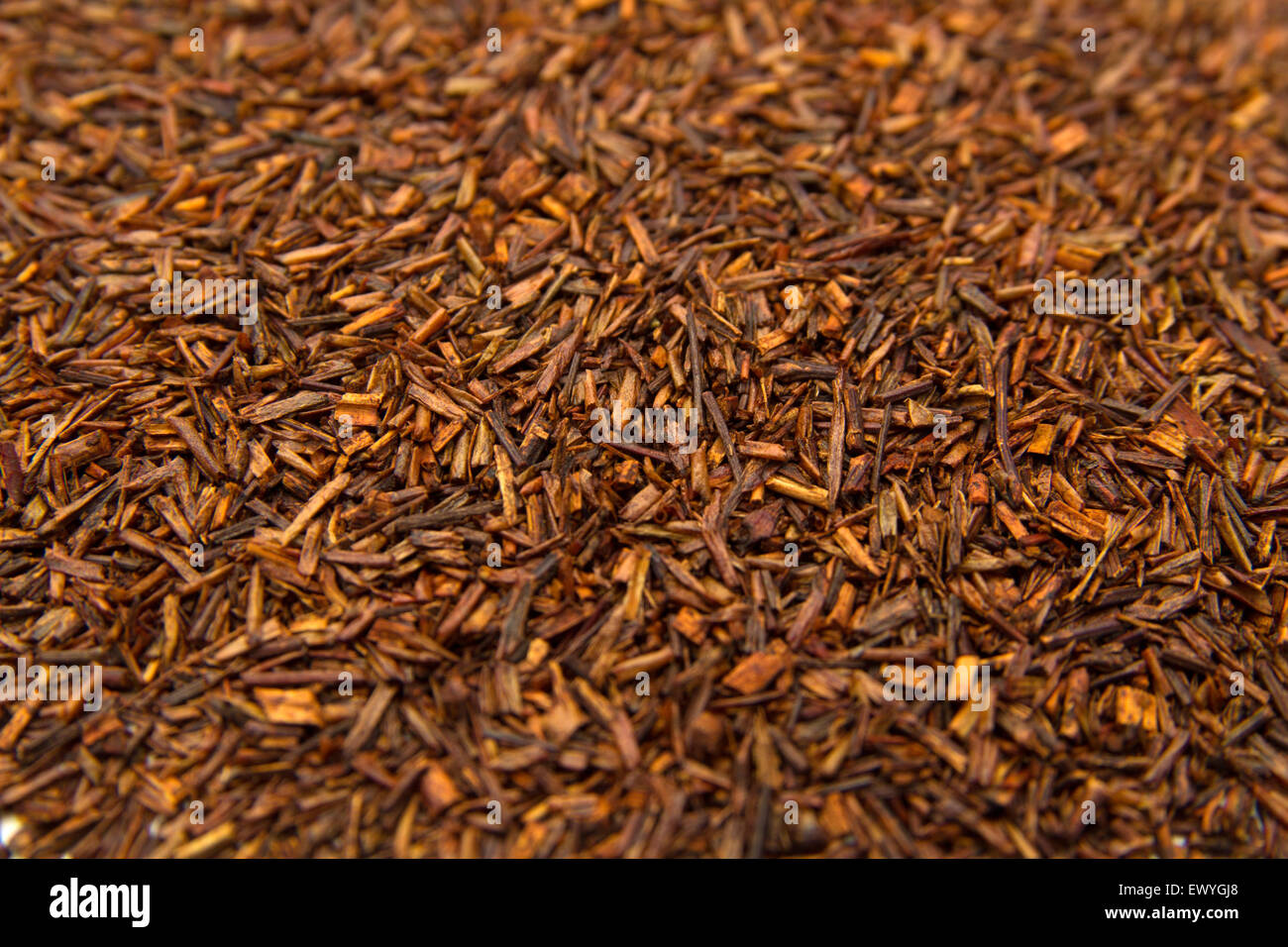 Rooibos Leaves at Deborah Frias blog