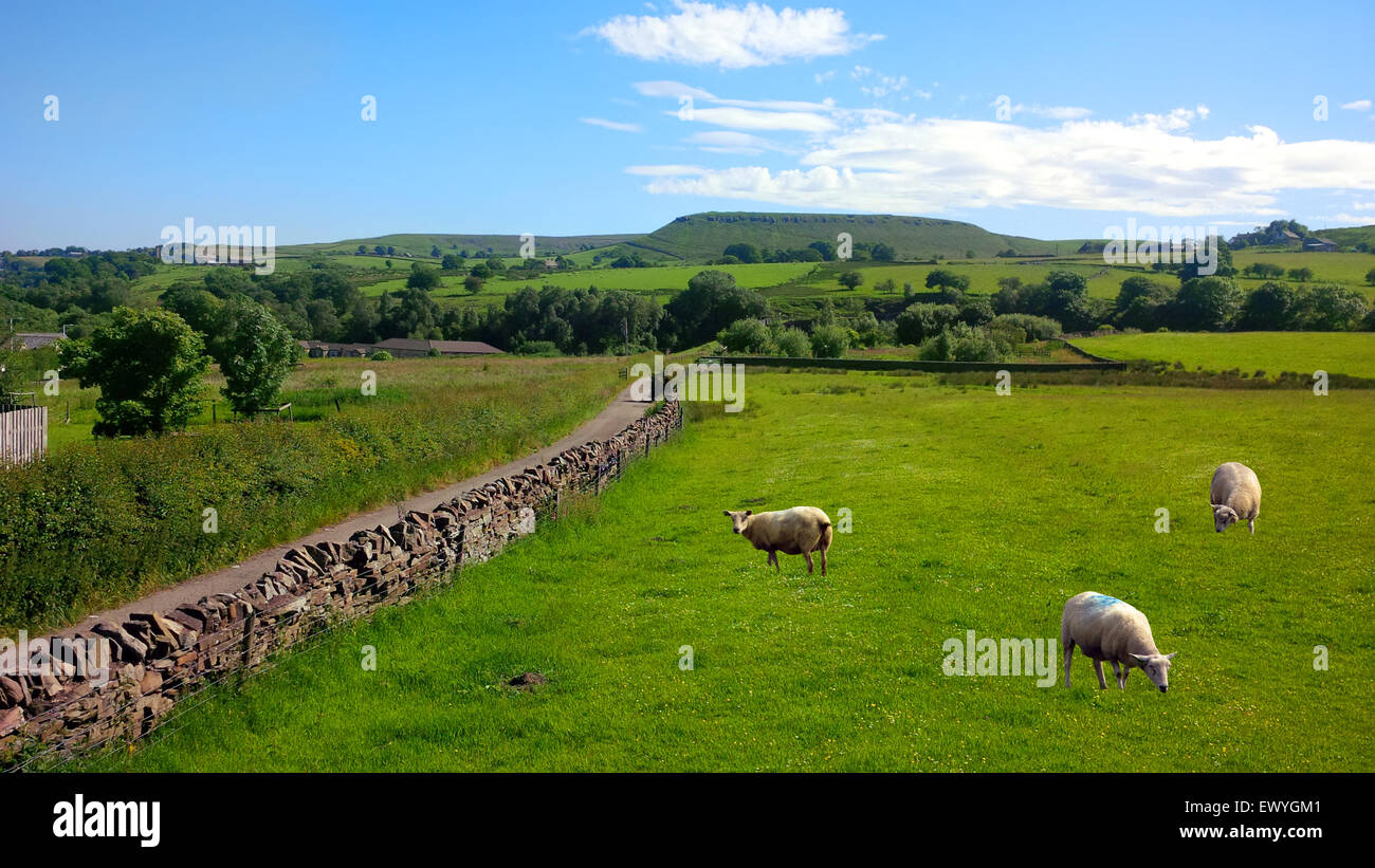 Haslingden, lancashire hi-res stock photography and images - Alamy