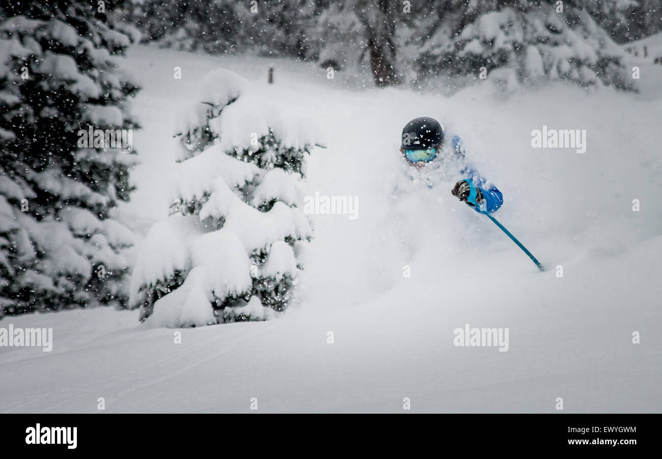 Man Deep Powder Skiing High Resolution Stock Photography and Images - Alamy