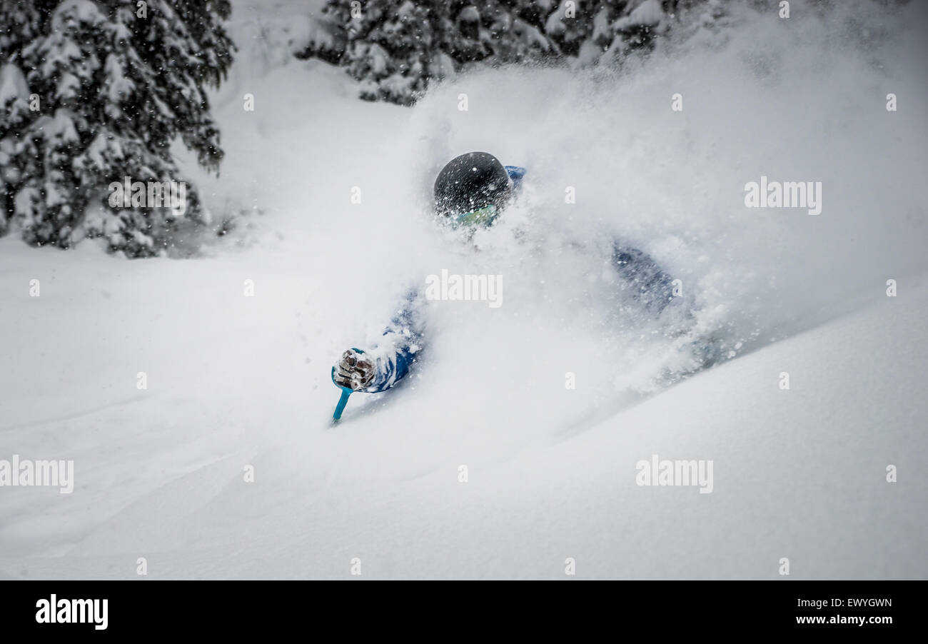 Man Deep powder skiing in mountains, Austria Stock Photo - Alamy