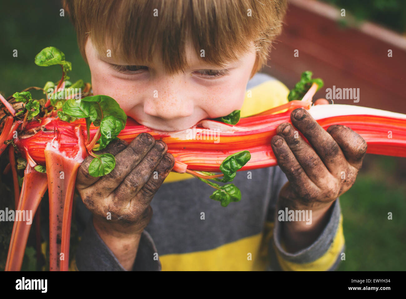 Eating With Hands Stock Photos & Eating With Hands Stock Images - Alamy