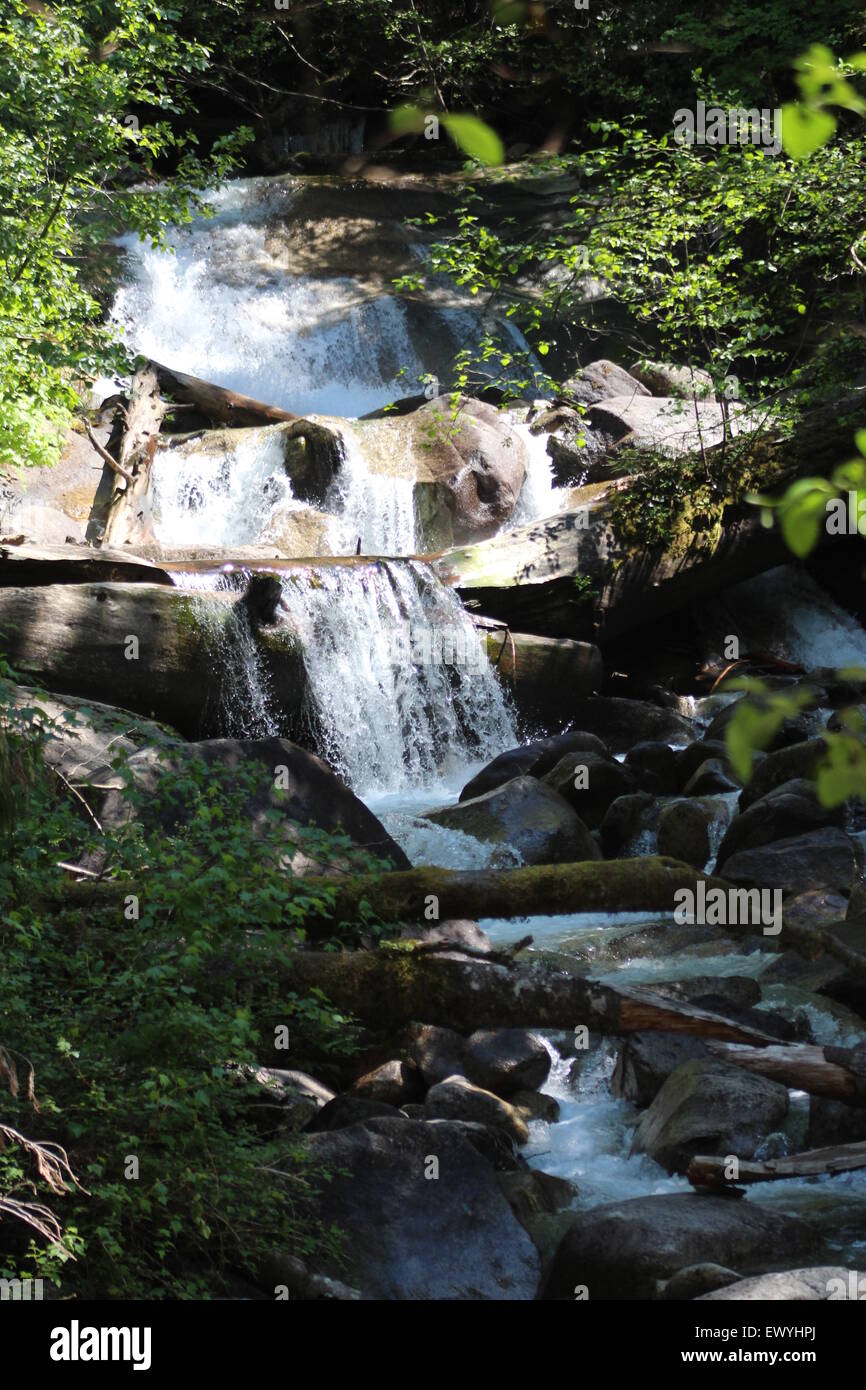 Clear water stream running over submerged rocks ideal background or ...