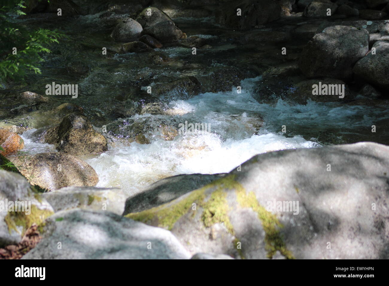 Pure river hi-res stock photography and images - Alamy