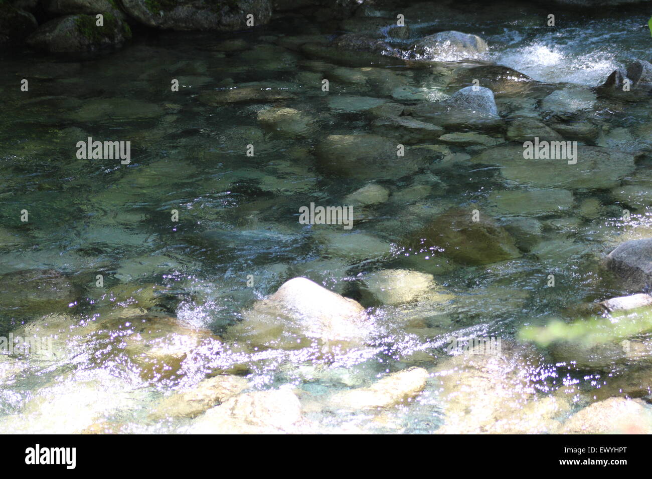 Clear water stream running over submerged rocks ideal background or ...