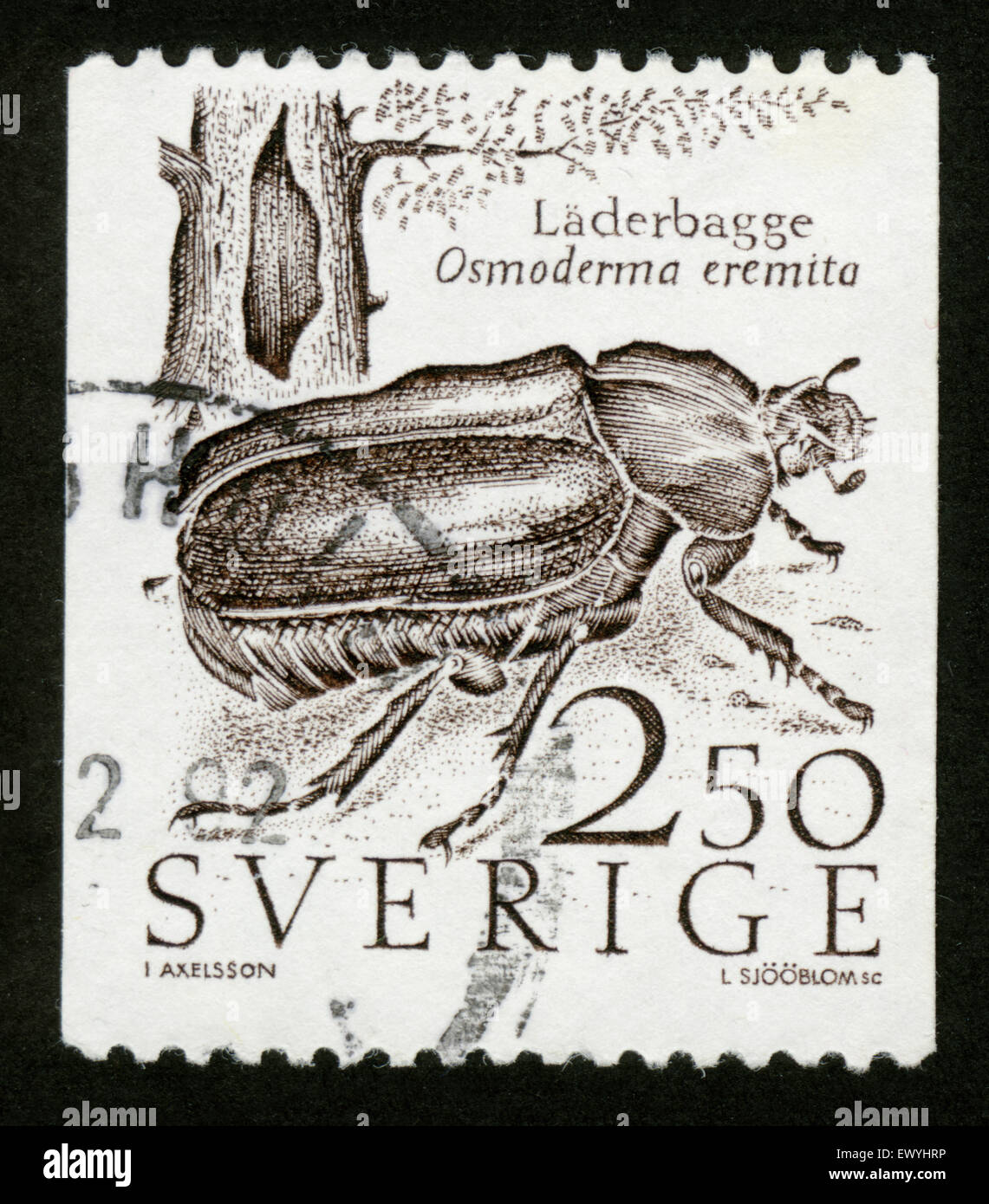 Sweden,beetle, insects, postage stamp Stock Photo - Alamy