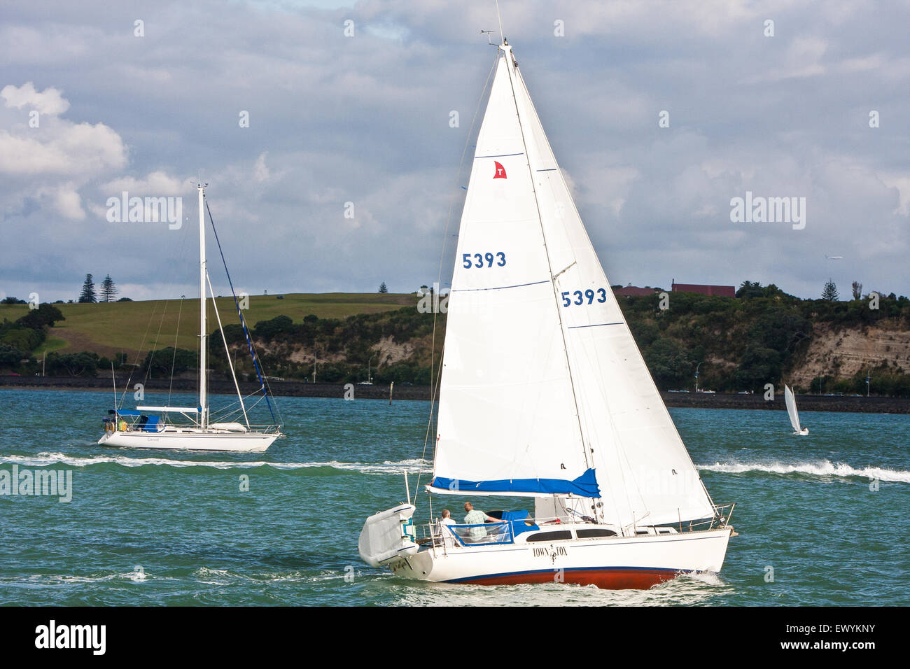 Yachts sailing in Auckland Harbour. City of Sails. Auckland,New Zealand ...