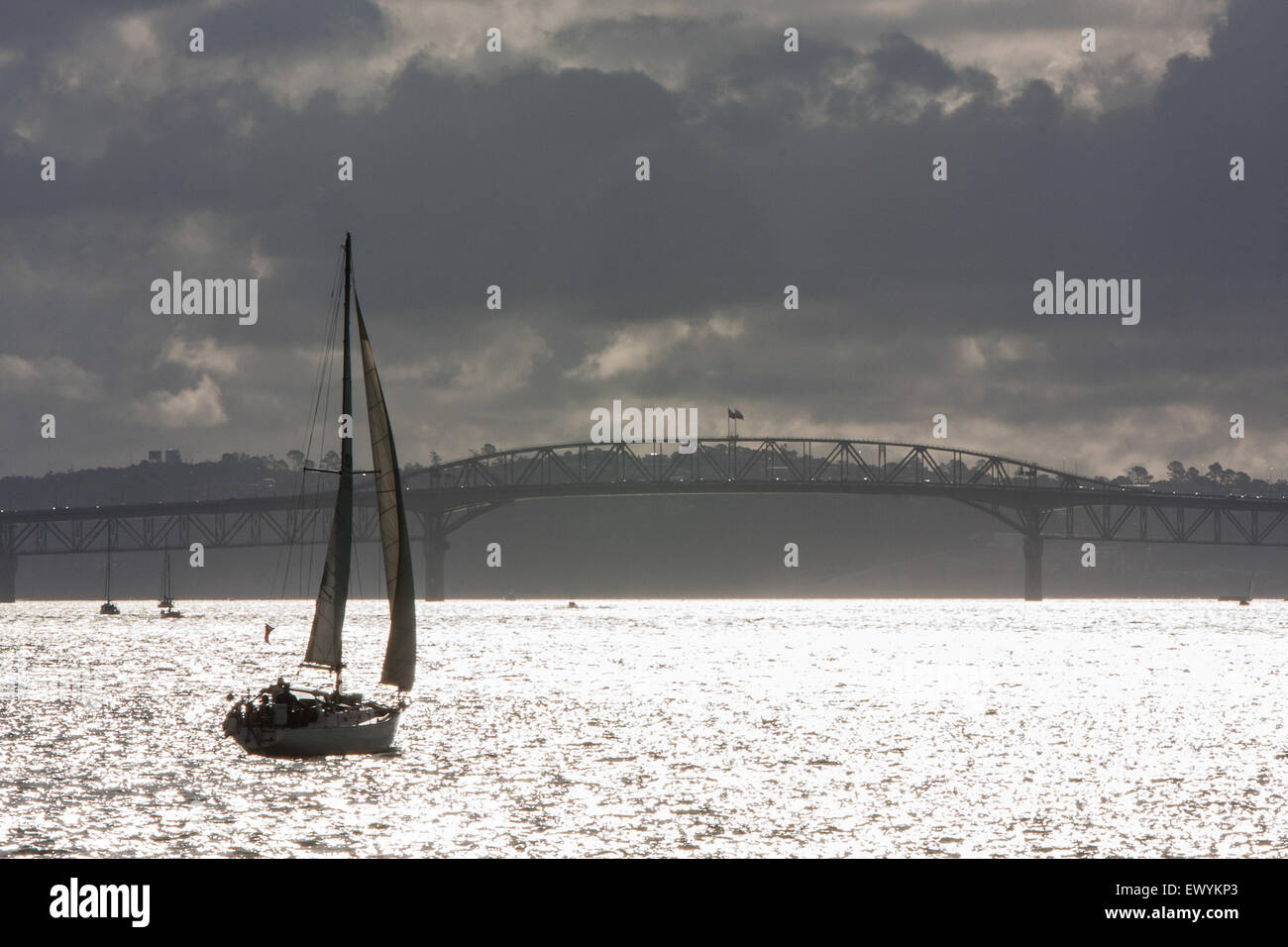 Sailing on auckland harbour hi-res stock photography and images - Alamy