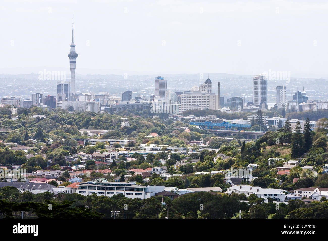 One tree hill auckland city hi-res stock photography and images - Alamy