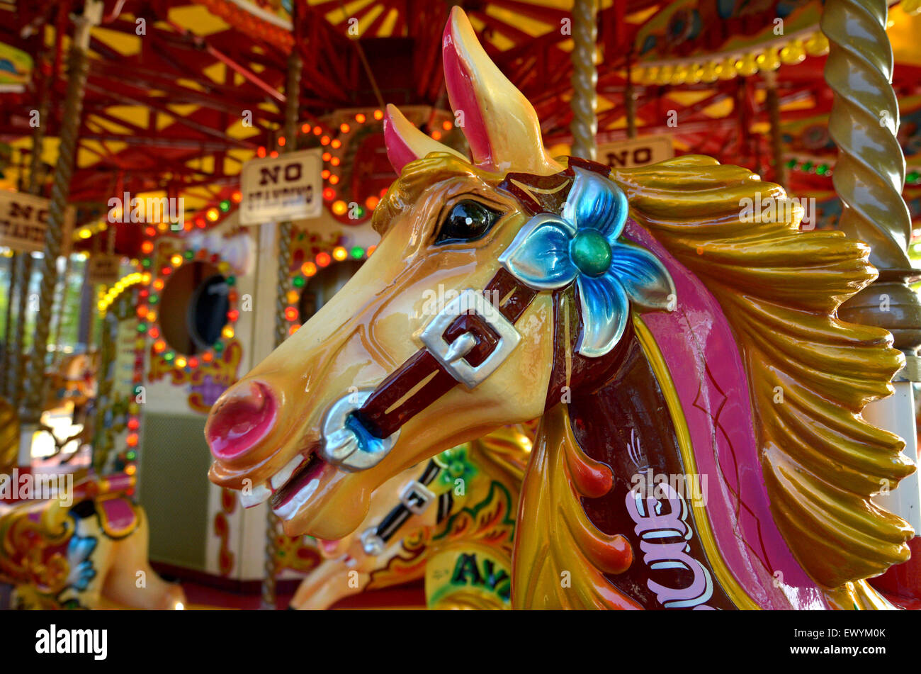 Vintage Carousel Horse Stock Photos & Vintage Carousel Horse Stock ...