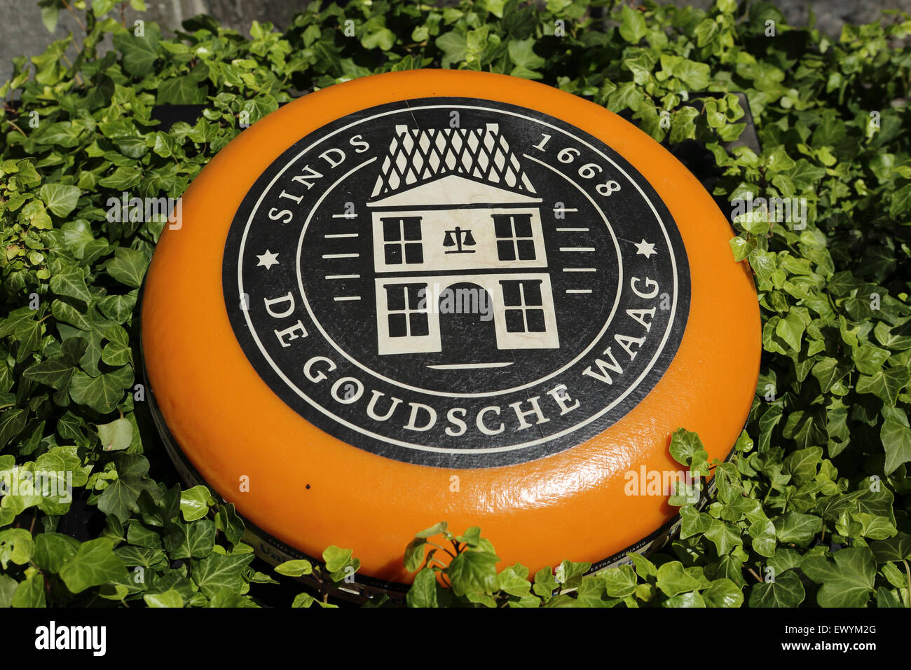 A wheel of cheese depicts the Goudsche Waag (the Weigh House) in Gouda ...