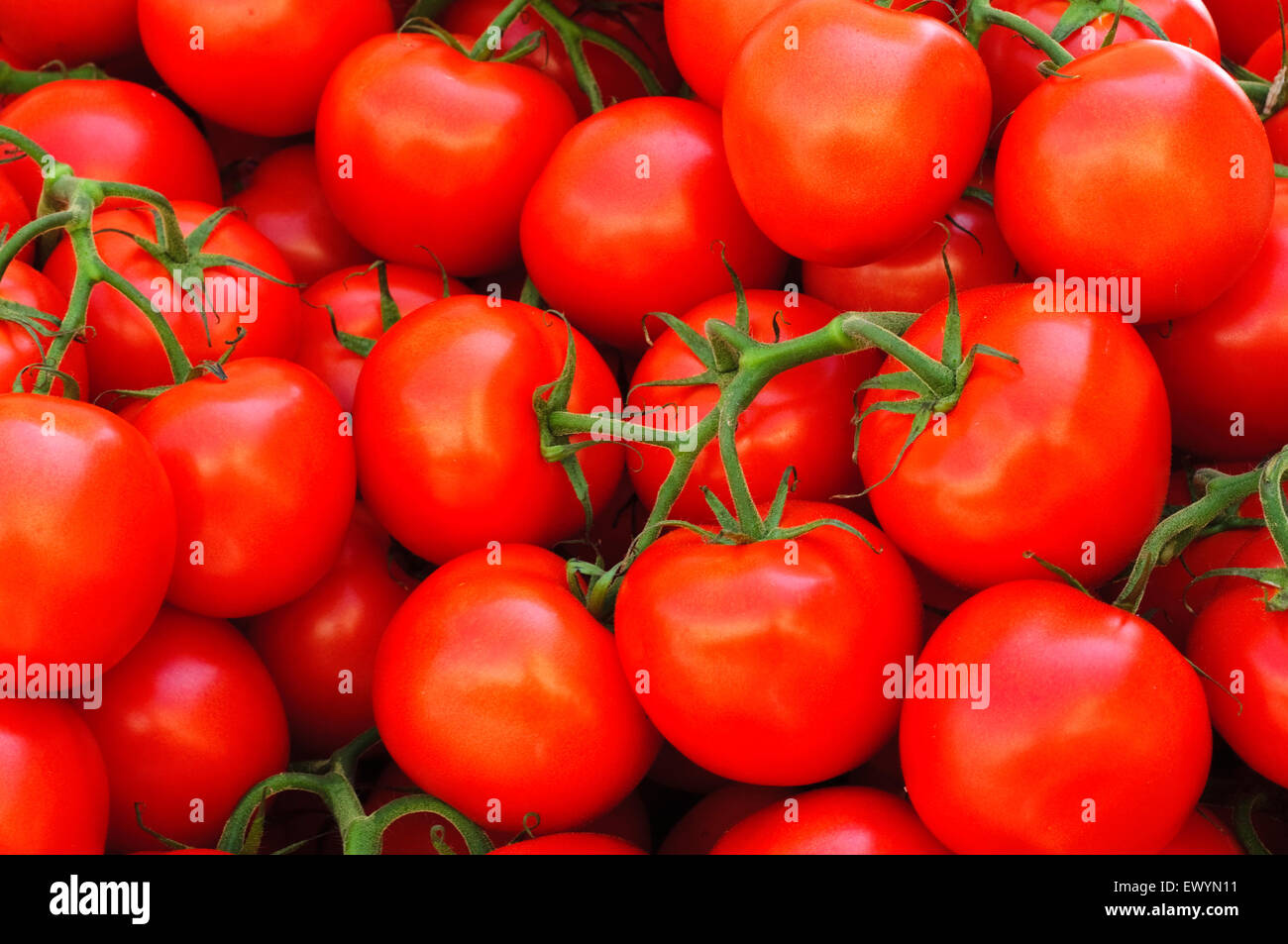 Full frame tomato hi-res stock photography and images - Alamy