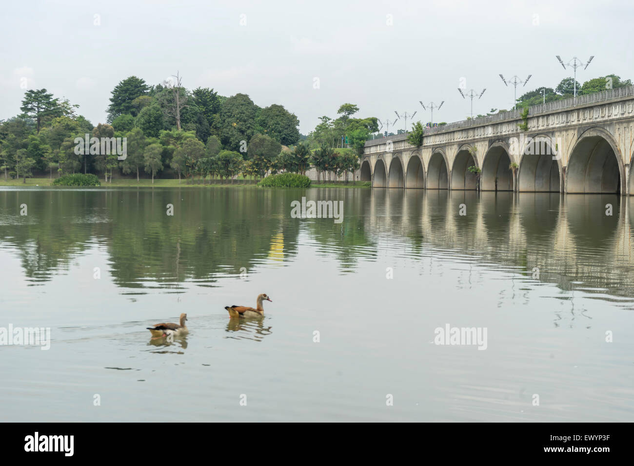 Lake with concrete bridge Stock Photo - Alamy
