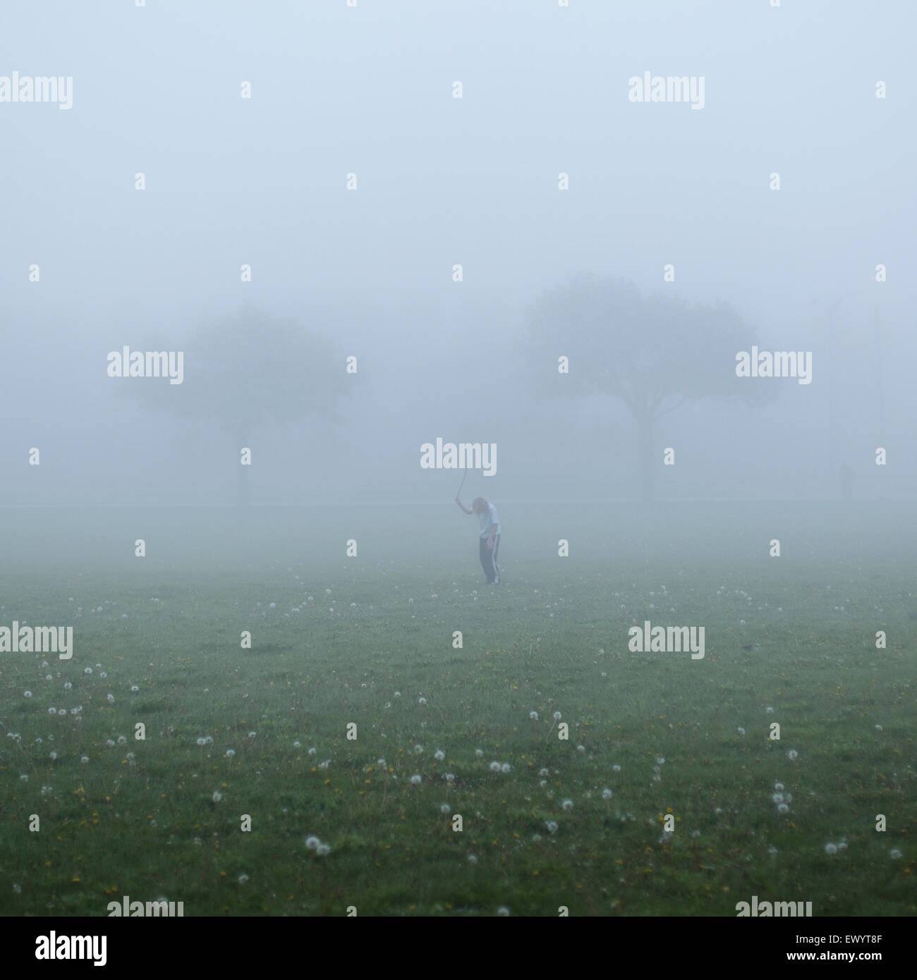 A foggy urban landscape at dusk Stock Photo - Alamy