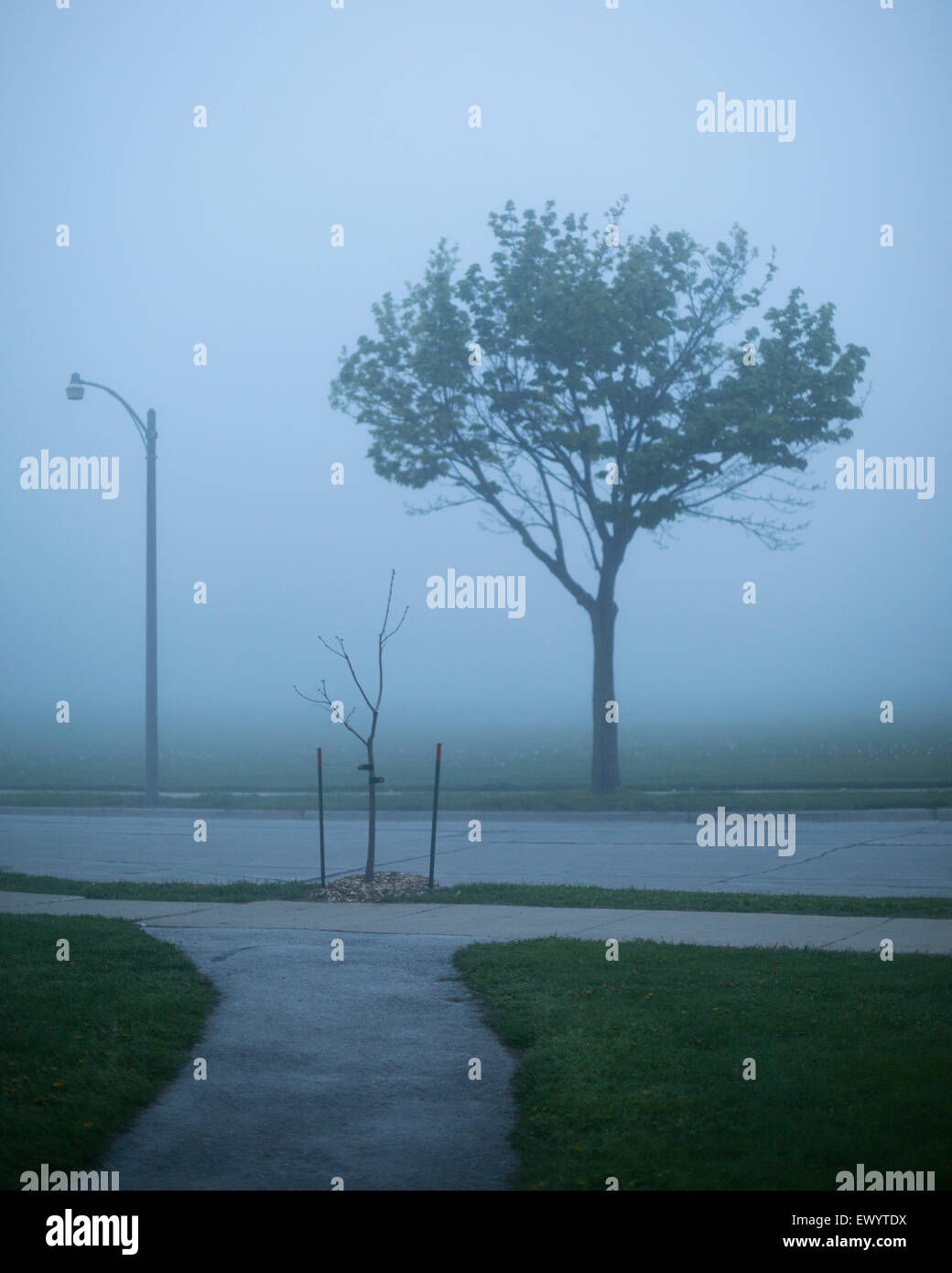 A foggy urban landscape at dusk Stock Photo - Alamy