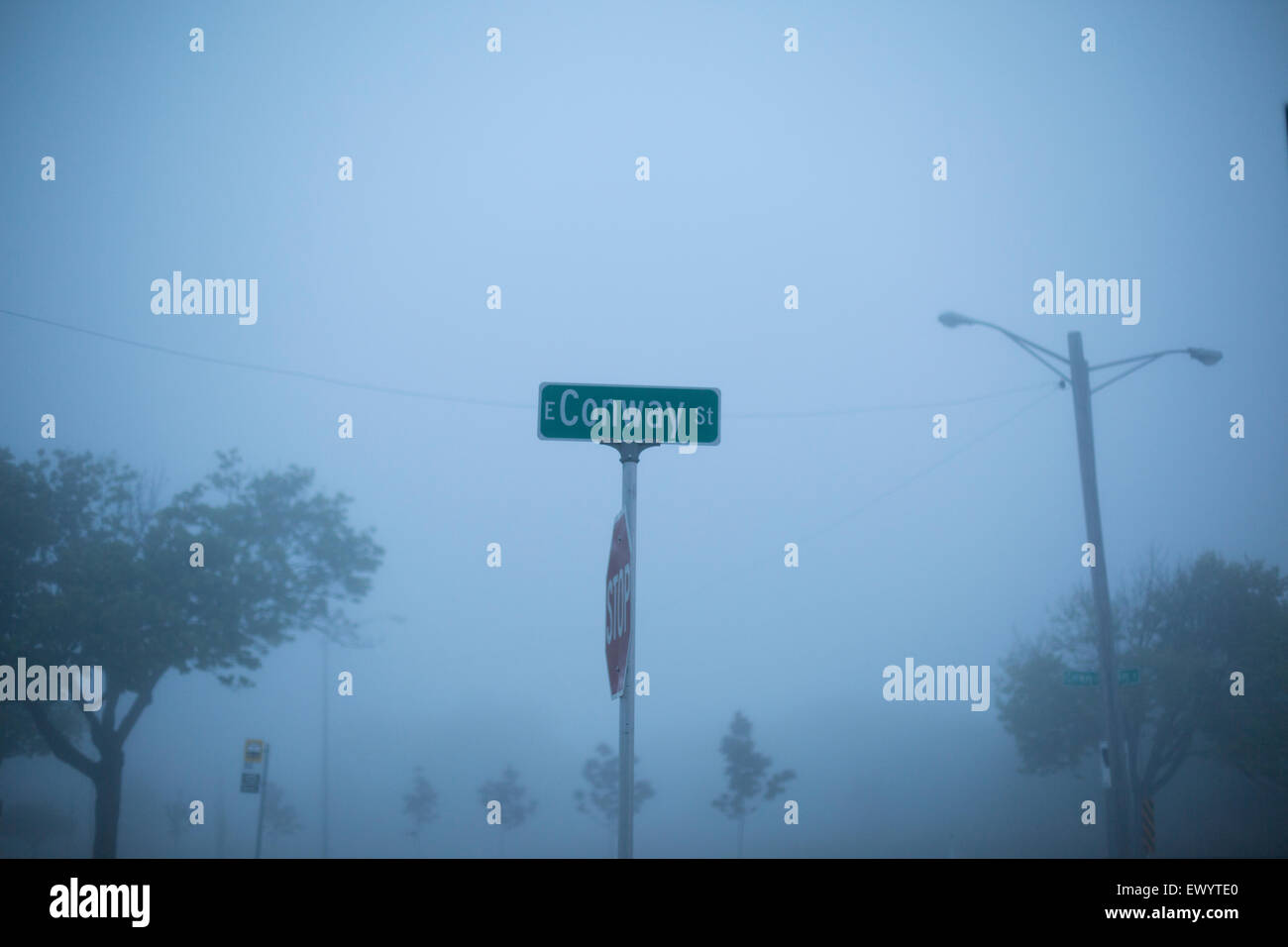 A foggy urban landscape at dusk with a street sign Stock Photo - Alamy