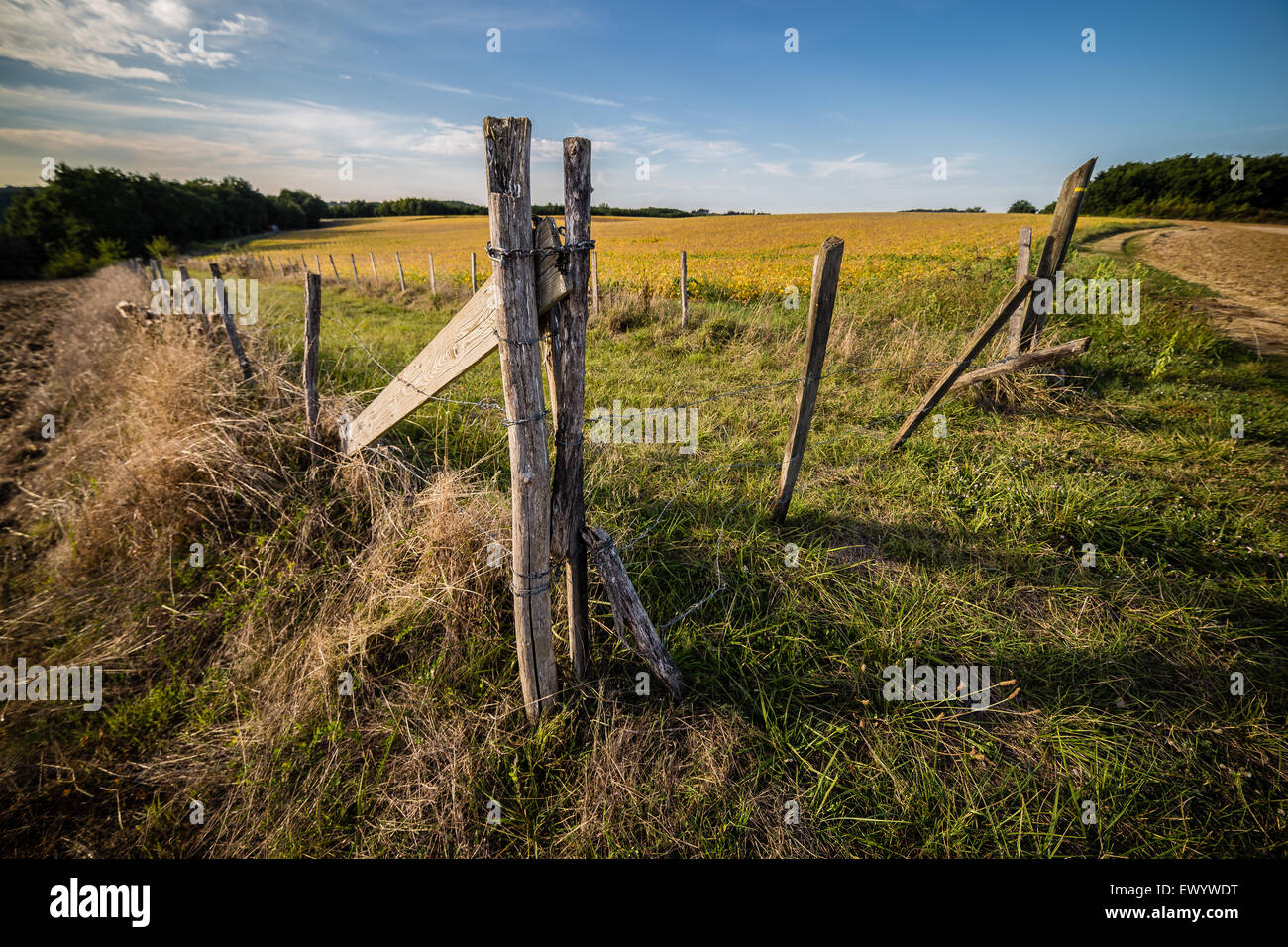 Fences in a field Stock Photo - Alamy