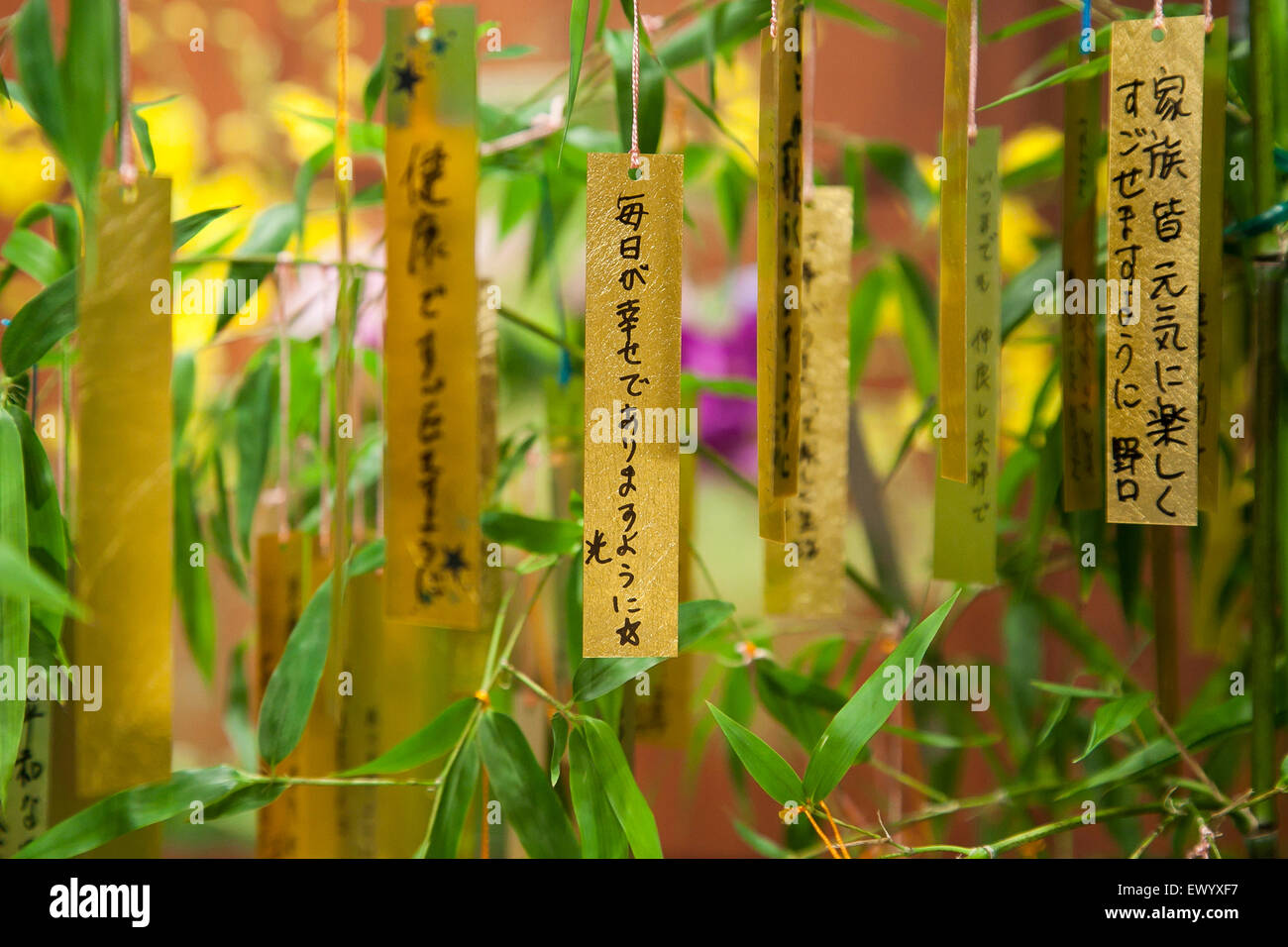 Ginza Tanaka jewelry shop displays a bamboo tree decorated with gold ...