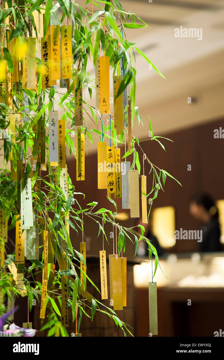 Tanaka tree hi-res stock photography and images - Alamy