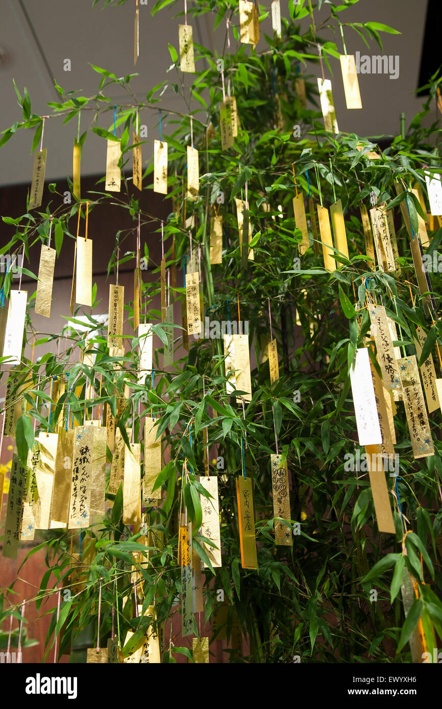 Ginza Tanaka jewelry shop displays a bamboo tree decorated with gold ...