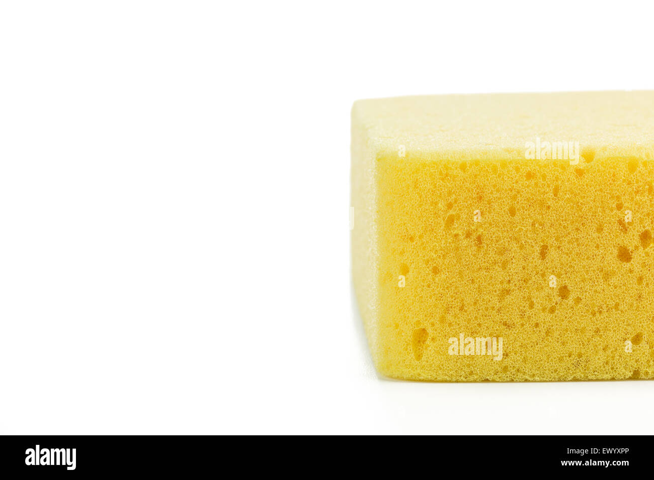 Yellow Sponge Close-up with space on white background (isolated Stock ...