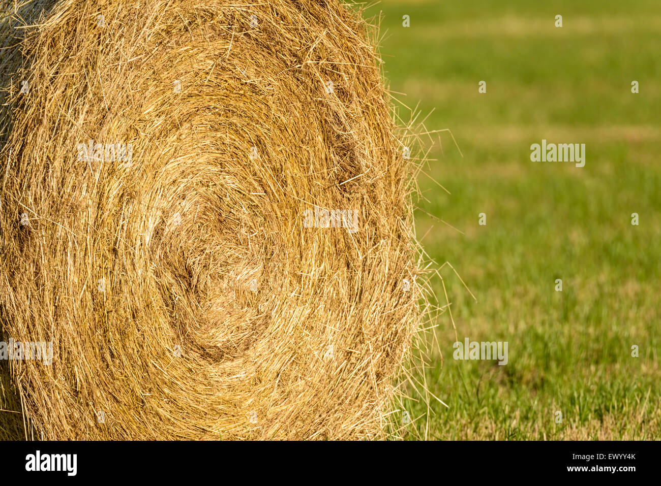 bale of hay in farmland Stock Photo - Alamy