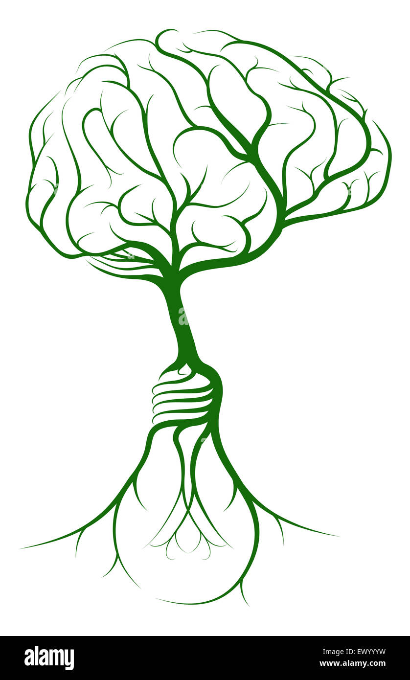 A brain shaped tree growing from lightbulb shaped roots Stock Photo - Alamy
