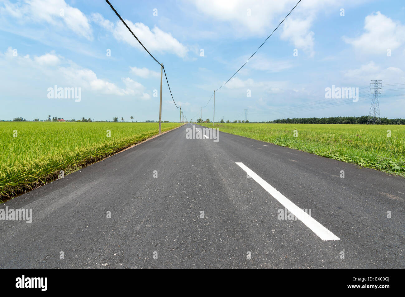 Paddy filed hi-res stock photography and images - Alamy