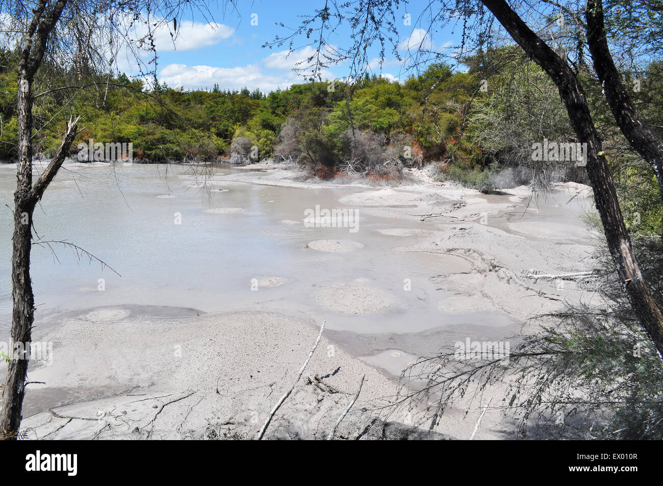 The natural of grey muddy geyser Stock Photo - Alamy